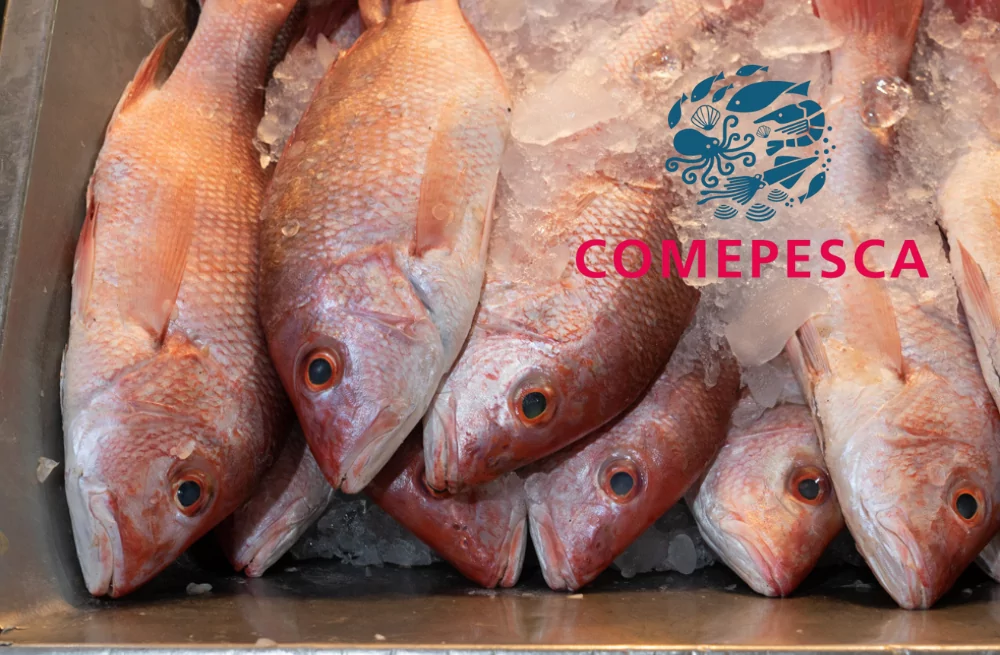 Consume Pesca Sustentable y lo mejor del producto nacional con ...